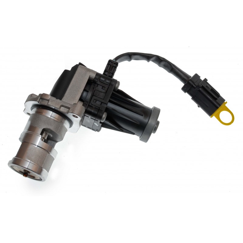 VALVE OEM PERKINS - Cogito